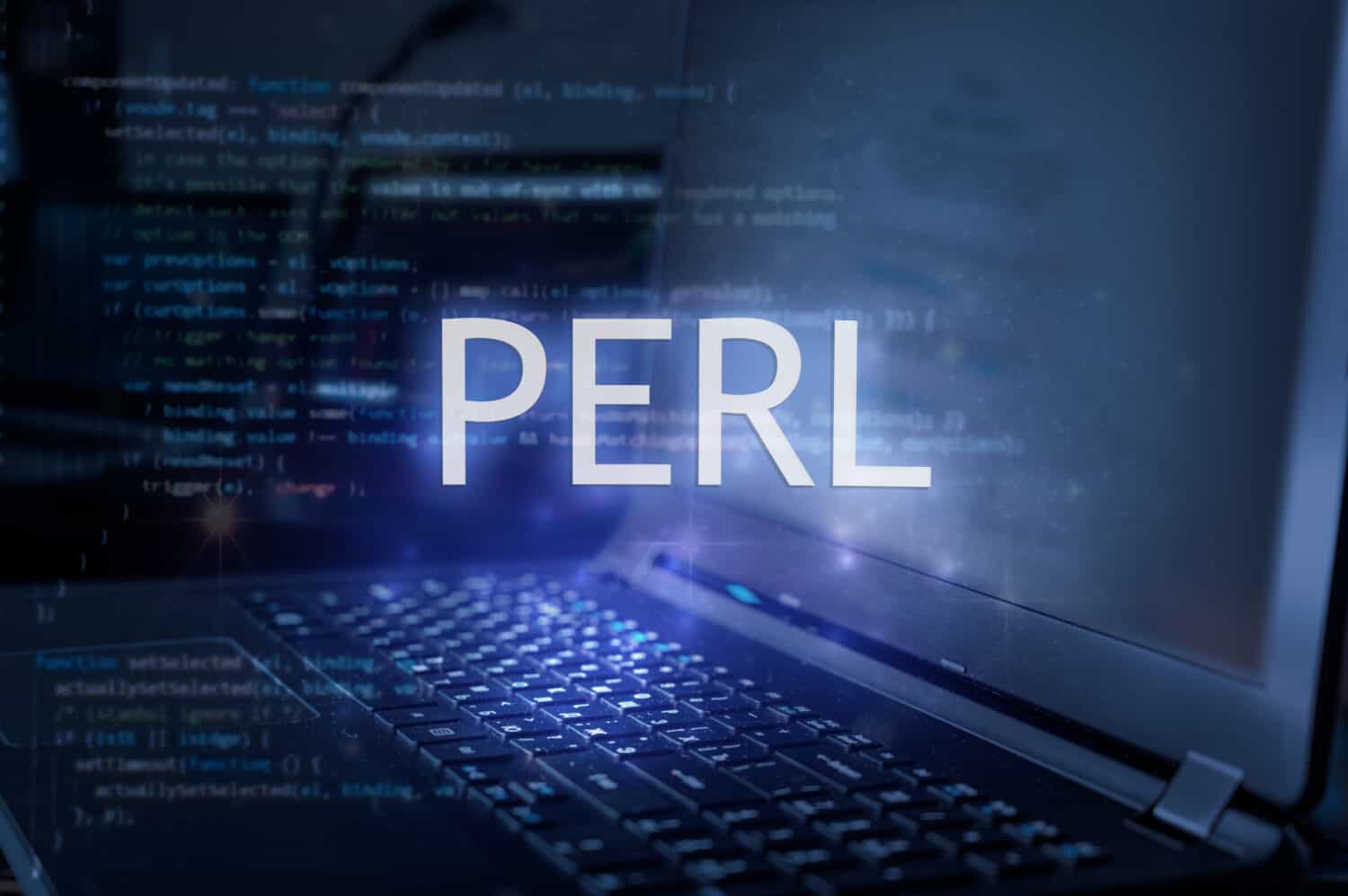 Perl Development Services - GeeksForLess